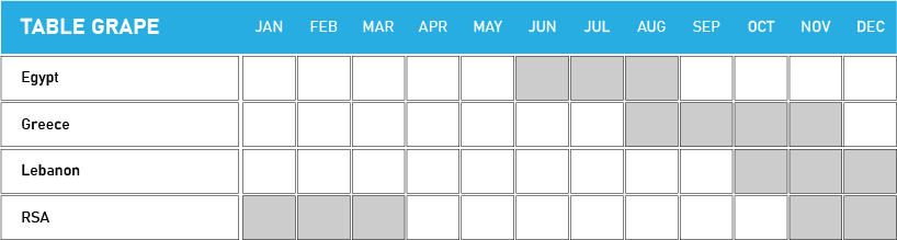 TABLE GRAPE - De La Tierra